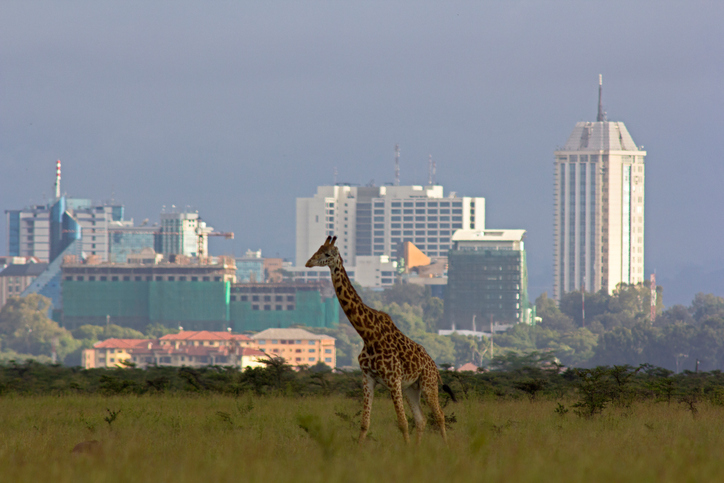 Nairobi (Kenya) - Maya-Maya Brazzaville International Airport